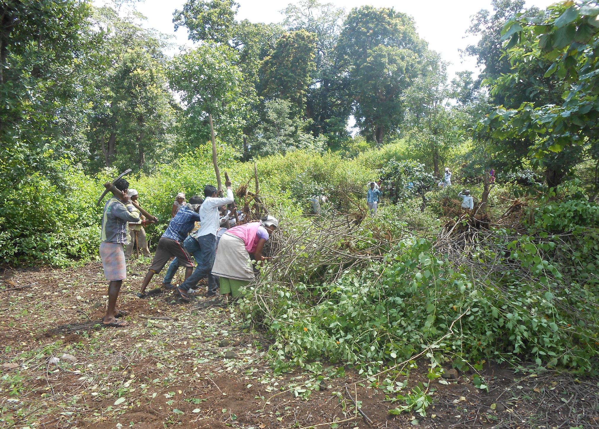 Restoration and Enhanced Governance of Commons through Community-Based ...