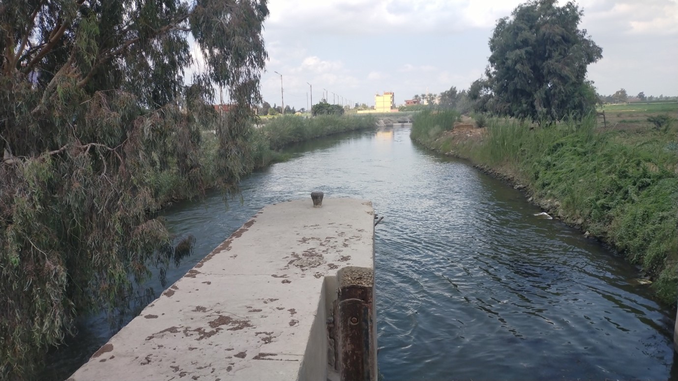 On water allocation in large irrigation systems: the case of Egypt ...