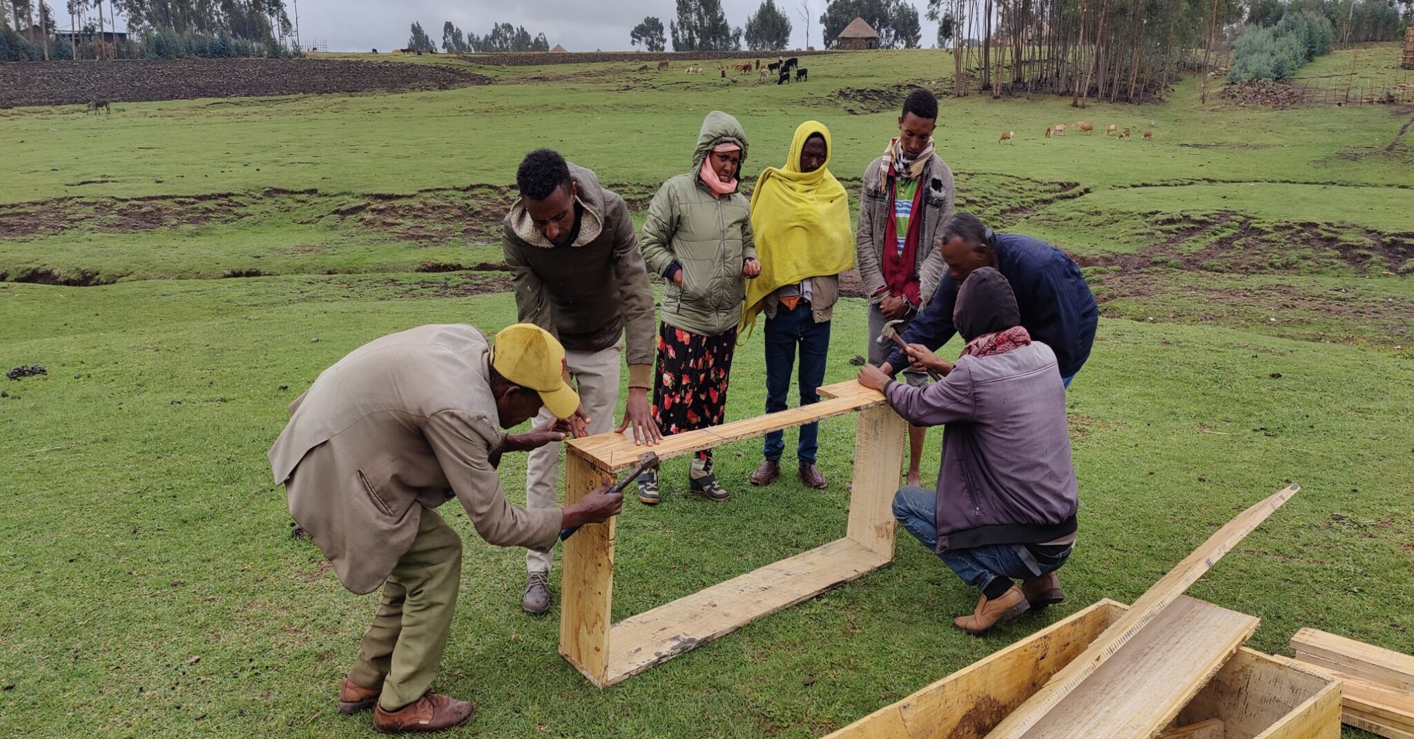 Worms transforming waste to wealth – Pioneering vermicomposting in the Arsi Zone, Ethiopia ...