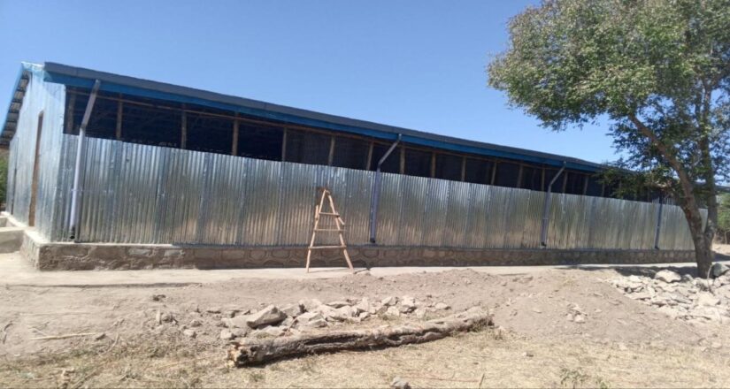 Worms transforming waste to wealth – Pioneering vermicomposting in the ...