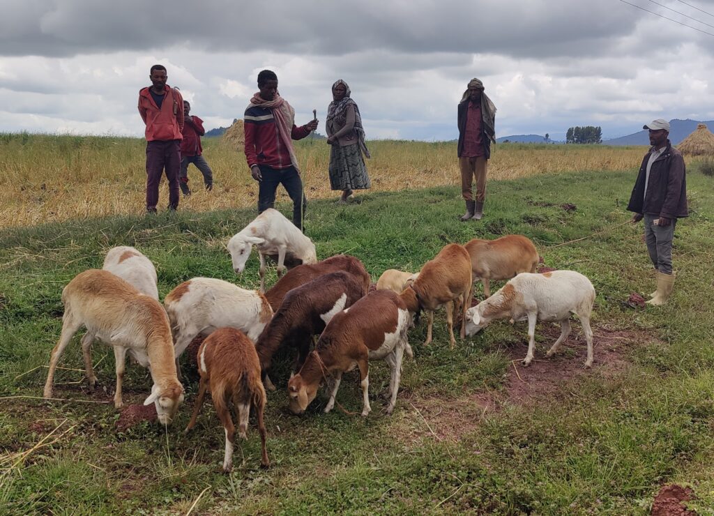 Revolving funds as catalysts for sustainable livelihoods – Experience ...