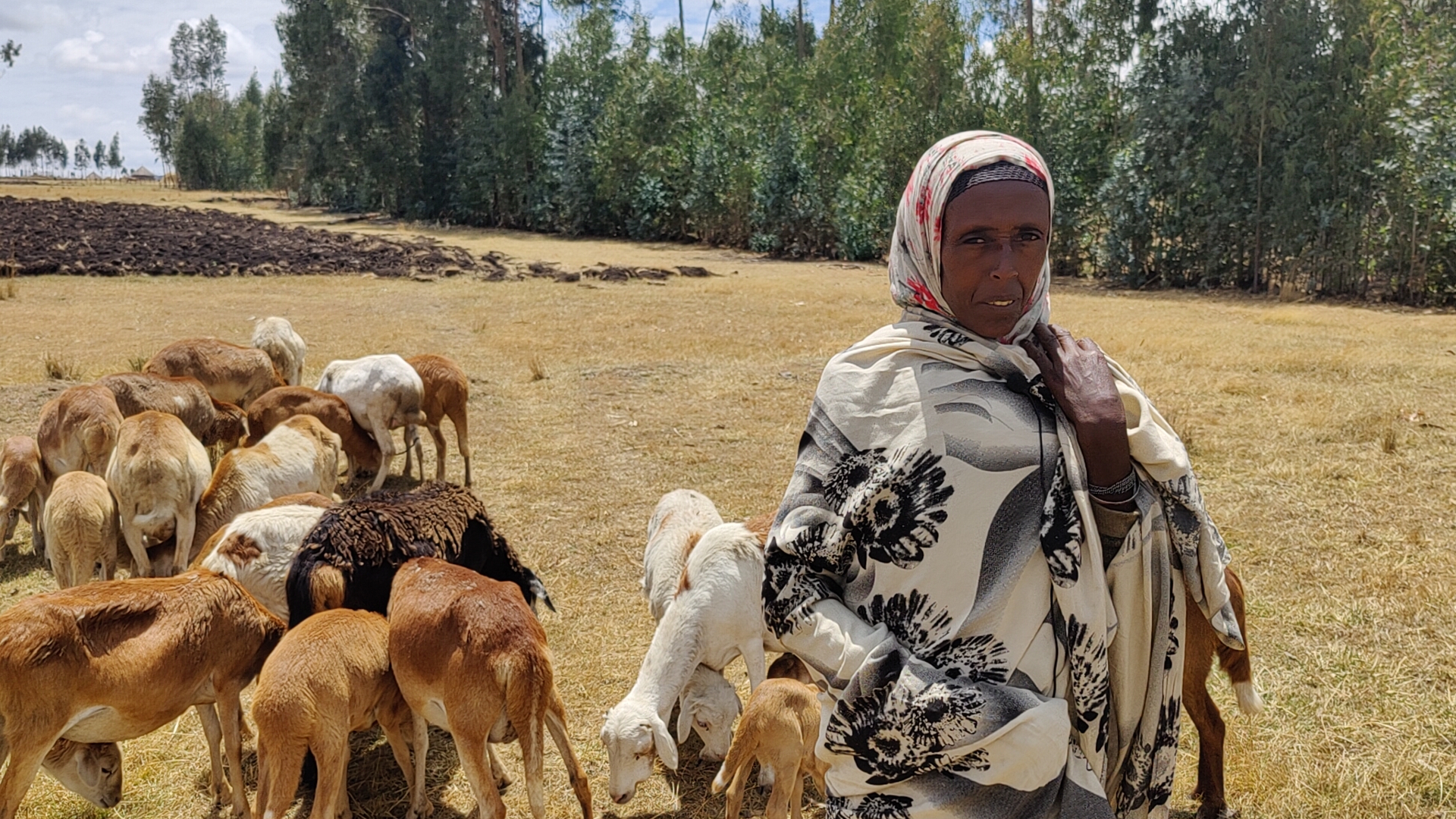 Revolving funds as catalysts for sustainable livelihoods – Experience ...