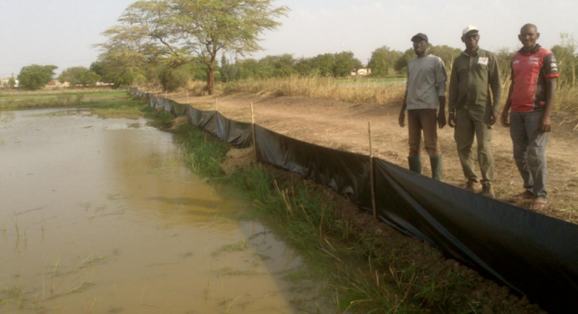 Enhancing rice field resilience: Pioneering Ecologically-Based Rodent ...
