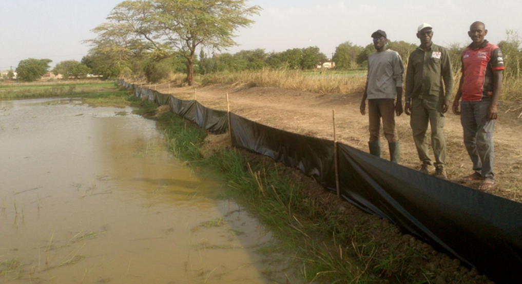 Enhancing rice field resilience: Pioneering Ecologically-Based Rodent ...