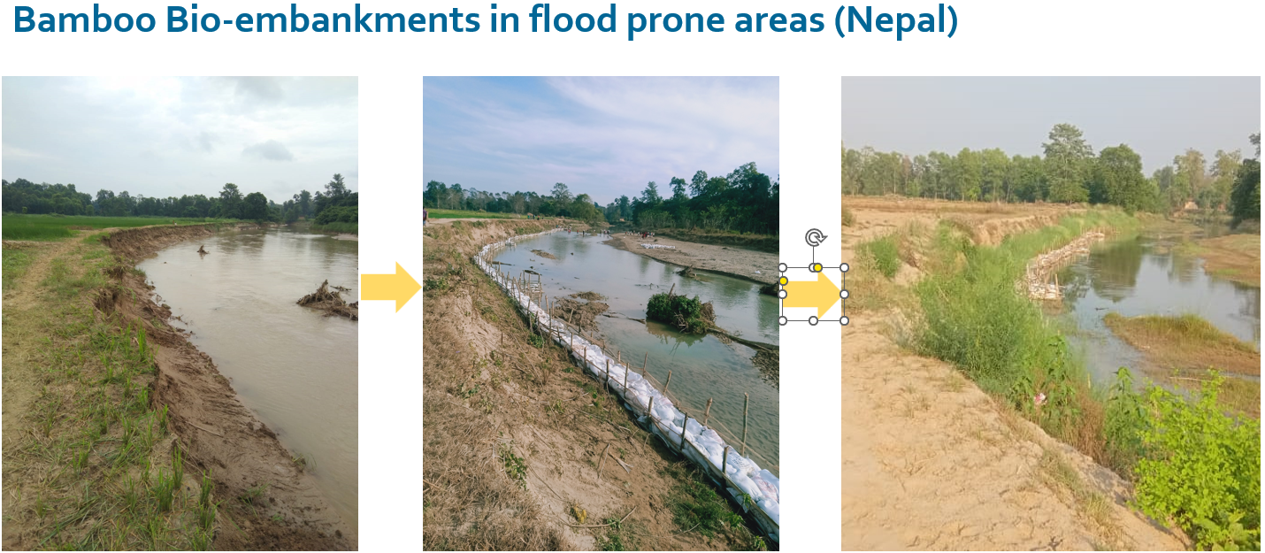Locally-led adaptation: where do we stand? - TheWaterChannel