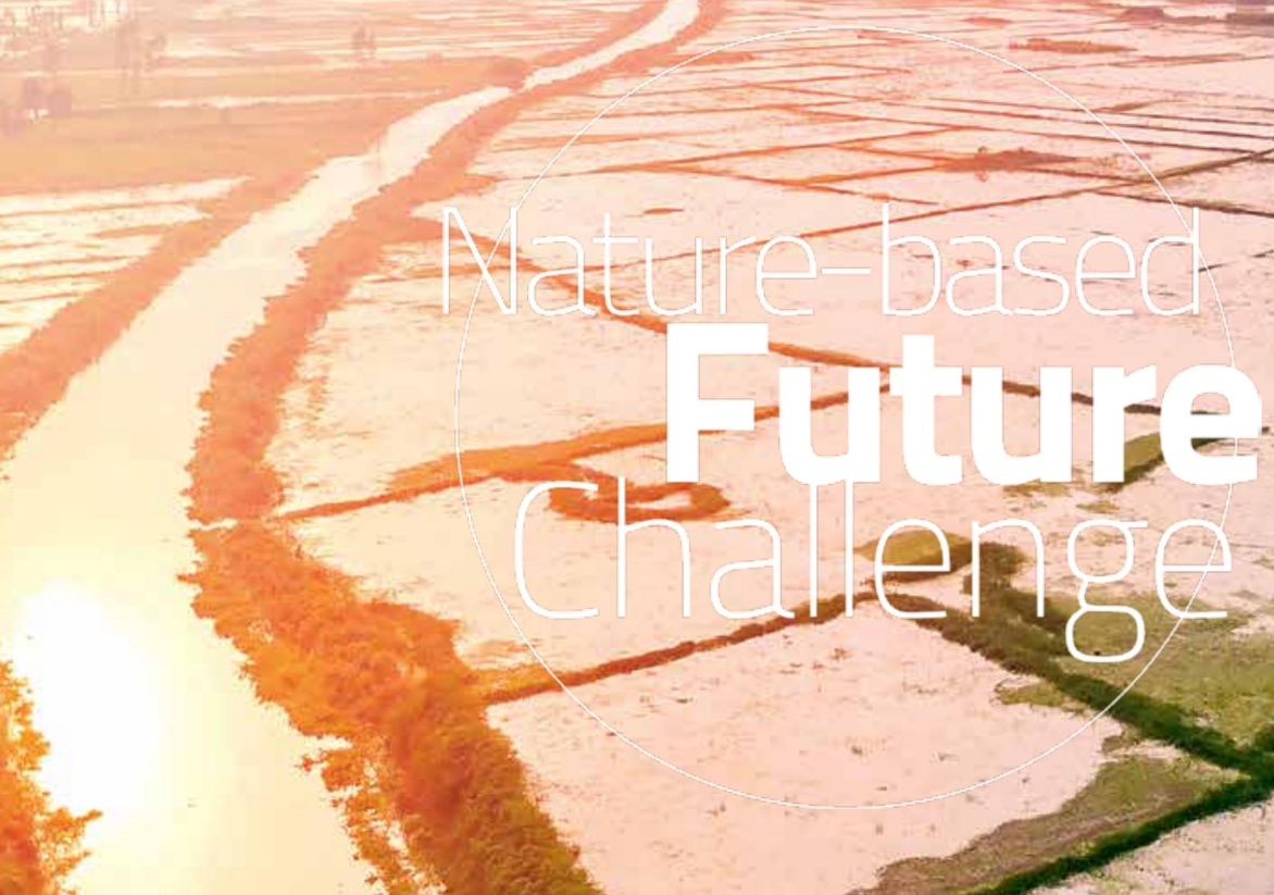 Heading towards a nature-based future - TheWaterChannel