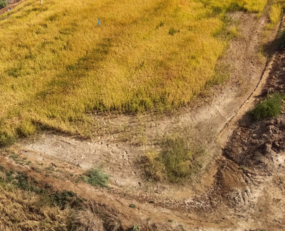 Tackling soil salinity – The role of soil management - TheWaterChannel