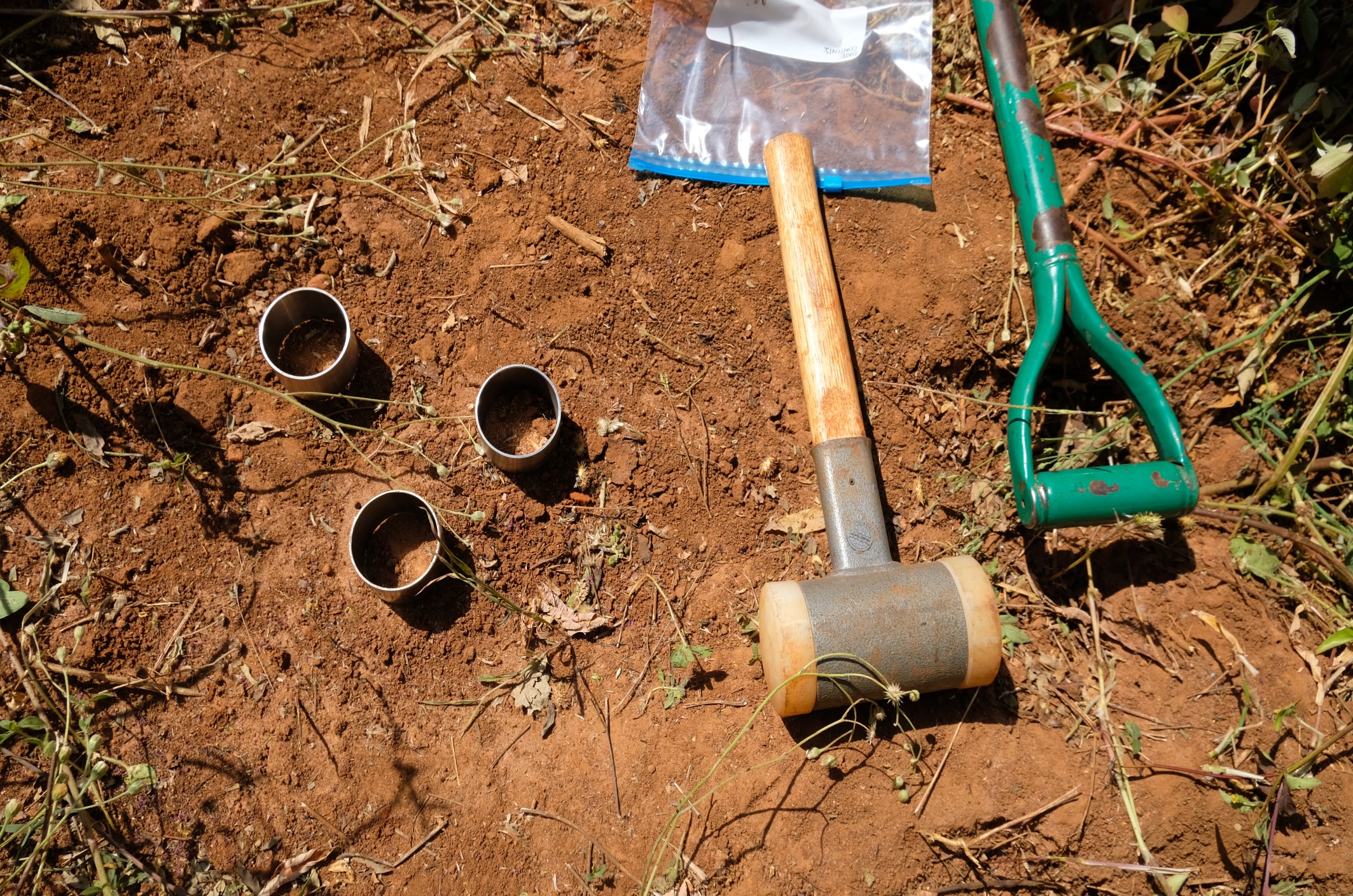 Soil Management Archives - TheWaterChannel